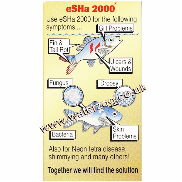 Esha 2000 20ml | The WaterZoo | Tropical fish | marine fish & aquariums