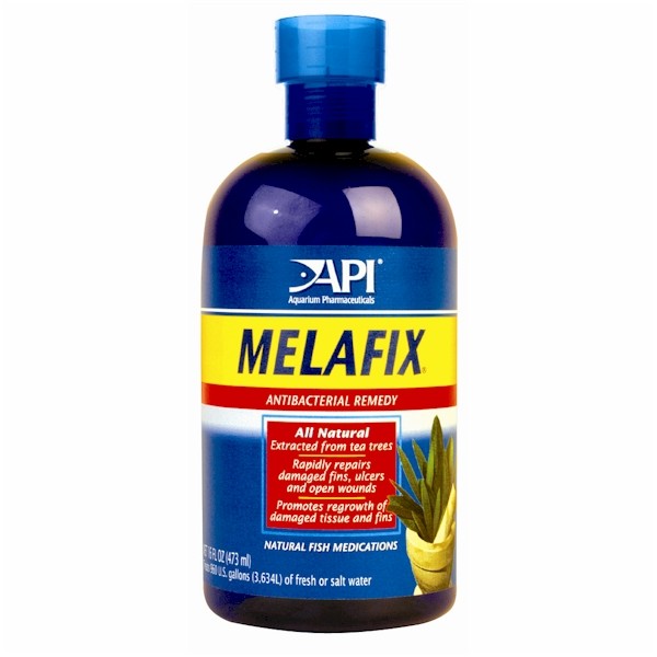 Api Melafix 473ml | The WaterZoo | Tropical fish | marine fish & aquariums