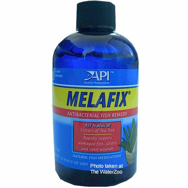 Api Melafix 118ml | The WaterZoo | Tropical fish | marine fish & aquariums
