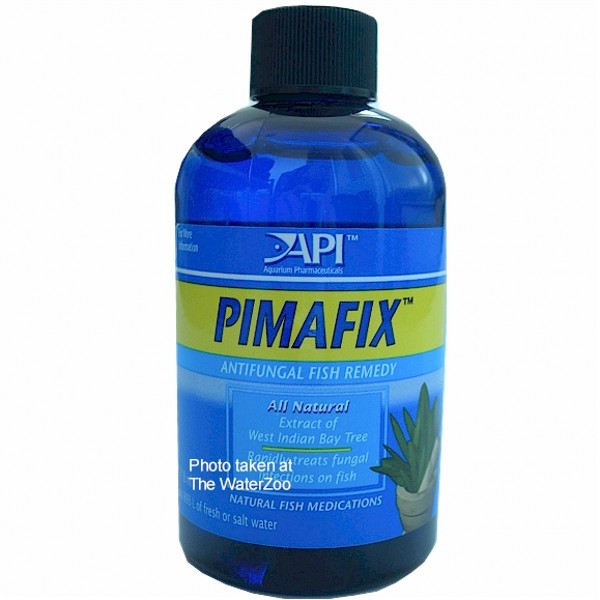 Api Pimafix 118ml | The WaterZoo | Tropical fish | marine fish & aquariums