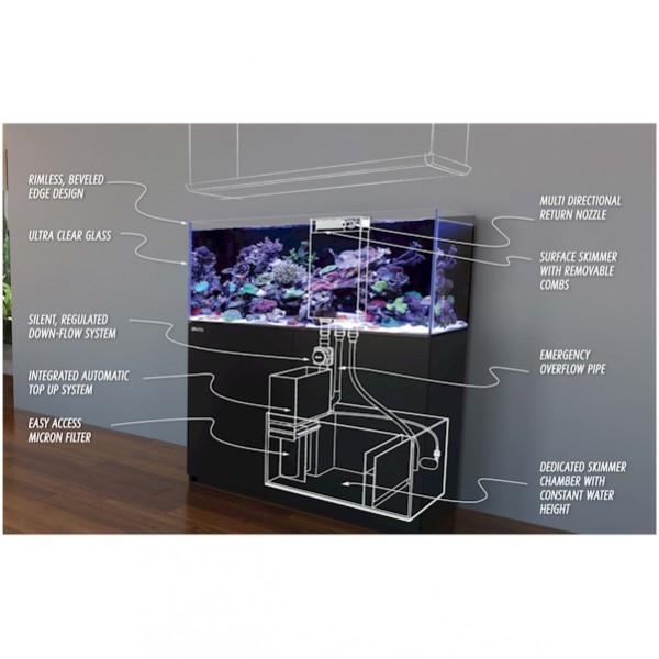 Red Sea Reefer 250 Gen 2 Black | The WaterZoo | Tropical fish | marine ...