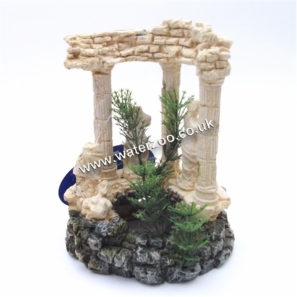 Classic Greek Goddess | The WaterZoo | Tropical fish | marine fish ...