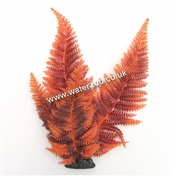 Hugo Kamishi Broad Leaf Fern Red 40cm | The WaterZoo | Tropical fish ...