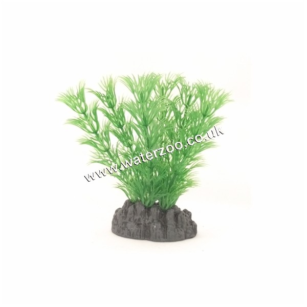 Hugo Kamishi Hornwort Green 13cm | The WaterZoo | Tropical fish ...