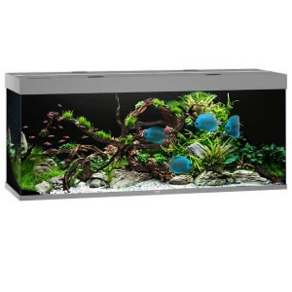 Juwel Rio 450 Led Aquarium Grey | The WaterZoo | Tropical fish | marine ...