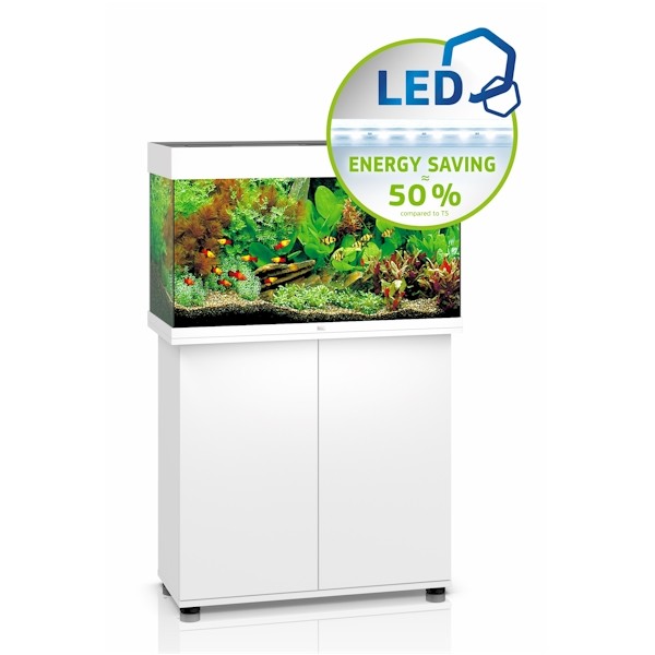 Juwel Rio 125 Led Aquarium White | The WaterZoo | Tropical fish ...