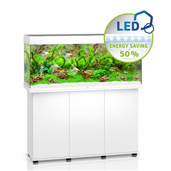 Juwel Rio 240 Led Aquarium White | The WaterZoo | Tropical fish ...