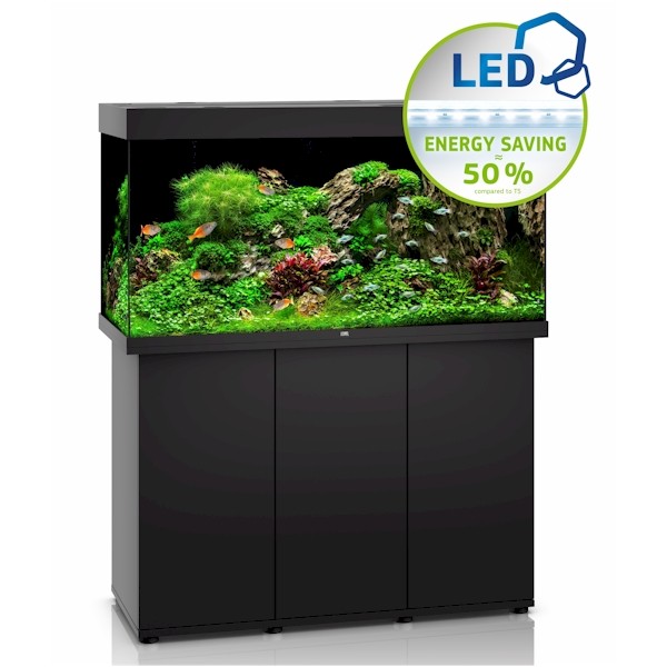 Juwel Rio 350 Led Aquarium Black | The WaterZoo | Tropical fish ...