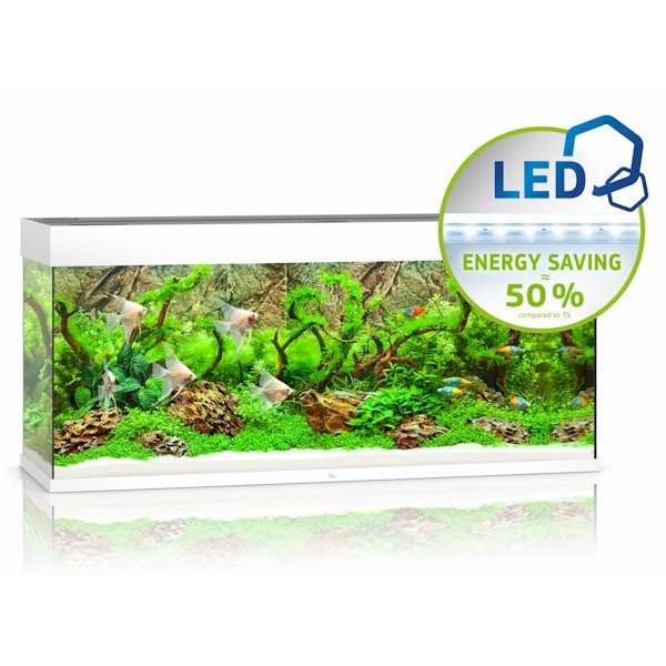 Juwel Rio 290 Led Aquarium White | The WaterZoo | Tropical fish ...