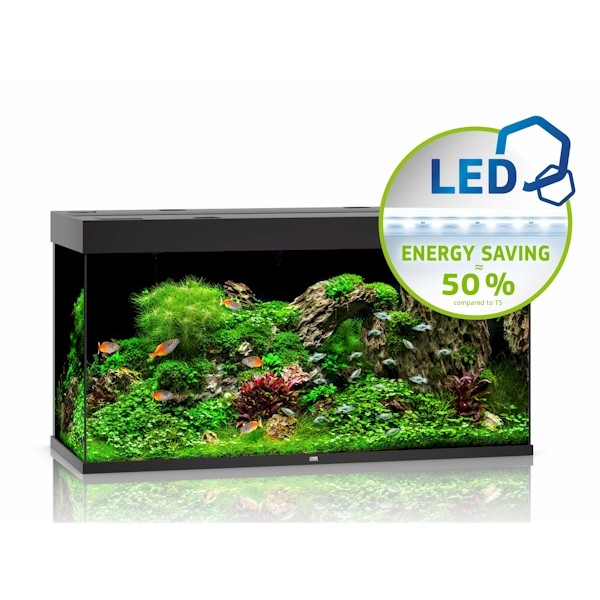 Juwel Rio 350 Led Aquarium Black | The WaterZoo | Tropical fish ...