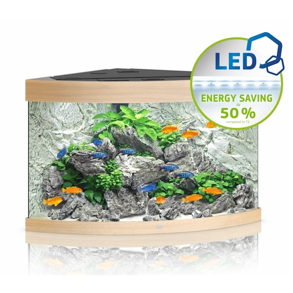 Juwel Trigon 190 Led Aquarium Light Wood | The WaterZoo | Tropical fish ...