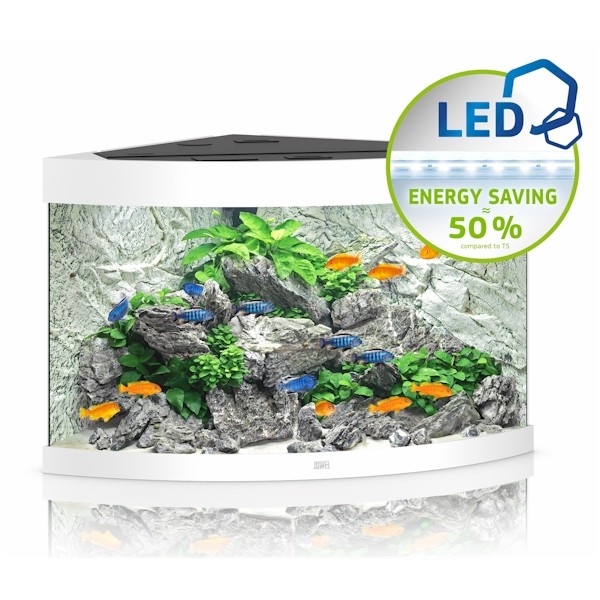 Juwel Trigon 190 Led Aquarium White | The WaterZoo | Tropical fish ...