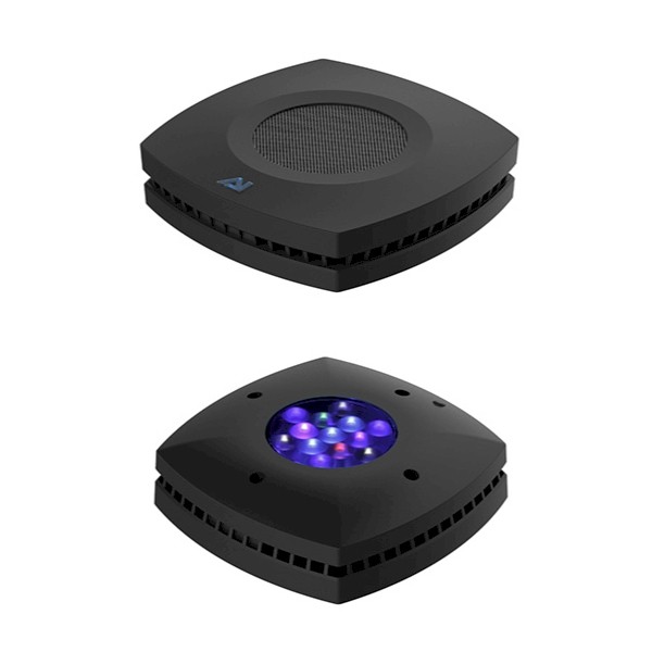 Ai Prime 16hd Led Black | The WaterZoo | Tropical fish | marine fish ...