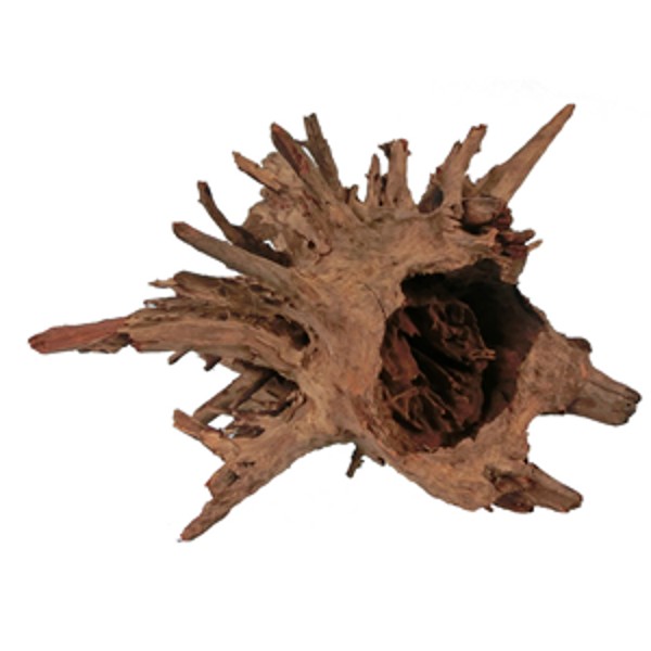 Corbo Wood 40-56cm | The WaterZoo | Tropical fish | marine fish & aquariums