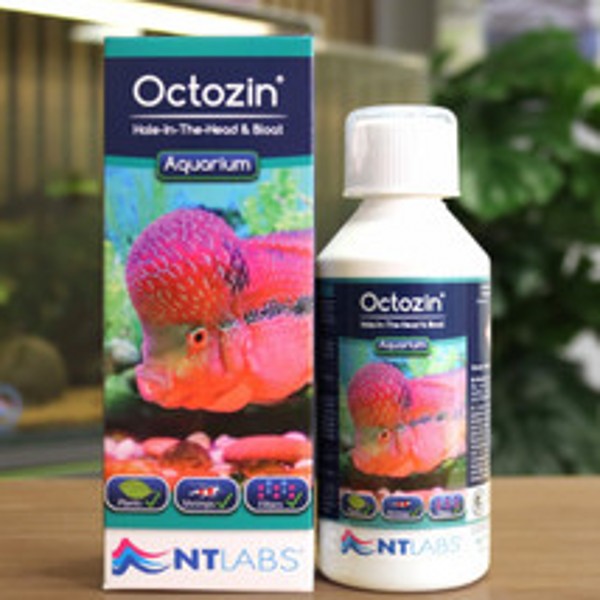 Nt Labs Octozin 250ml | The WaterZoo | Tropical fish | marine fish ...