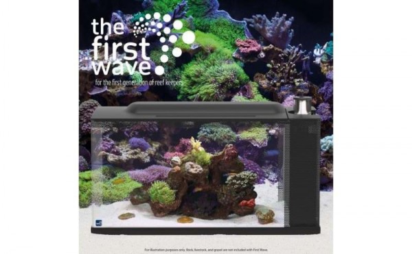 Tmc First Wave Aquarium Set 78 Litre | The WaterZoo | Tropical fish ...