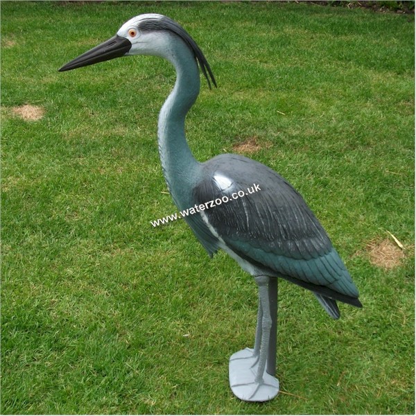 Plastic Heron | The WaterZoo | Tropical fish | marine fish & aquariums