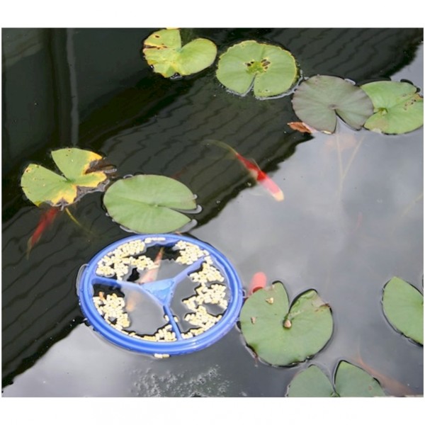 Pond Feeding Ring | The WaterZoo | Tropical fish | marine fish & aquariums