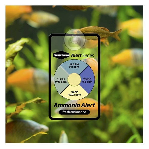 Seachem Ammonia Alert | The WaterZoo | Tropical fish | marine fish ...