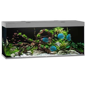 Juwel Rio 450 Led Aquarium Grey | The WaterZoo | Tropical fish | marine ...