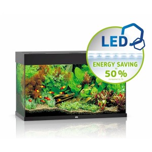 Juwel Rio 125 Led Aquarium Black | The WaterZoo | Tropical fish ...