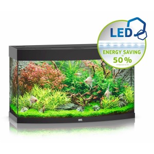 Juwel Vision 180 Led Aquarium Black | The WaterZoo | Tropical fish ...